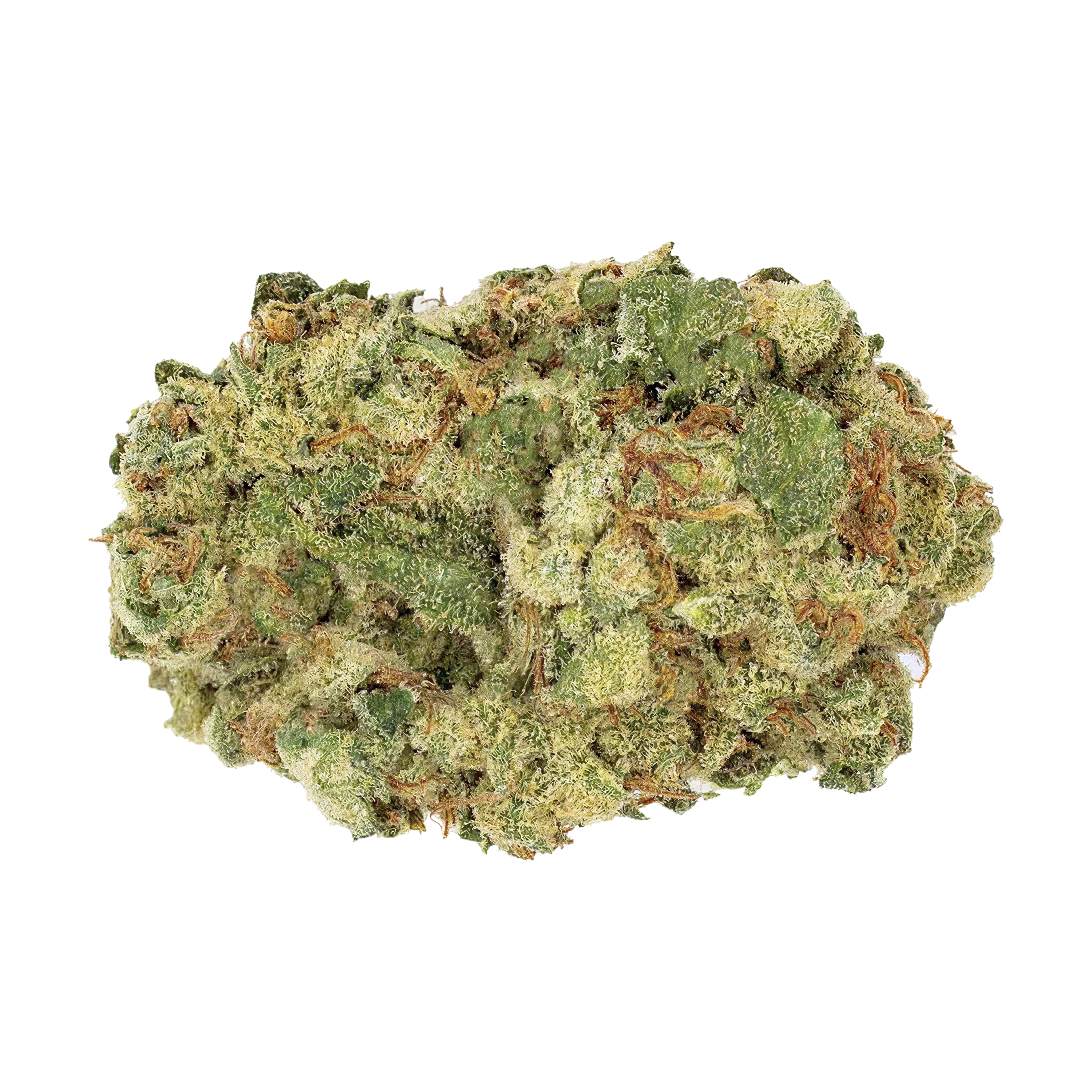 ZOIKS 22/1 AZZ - Azzai | MedCanOneStop